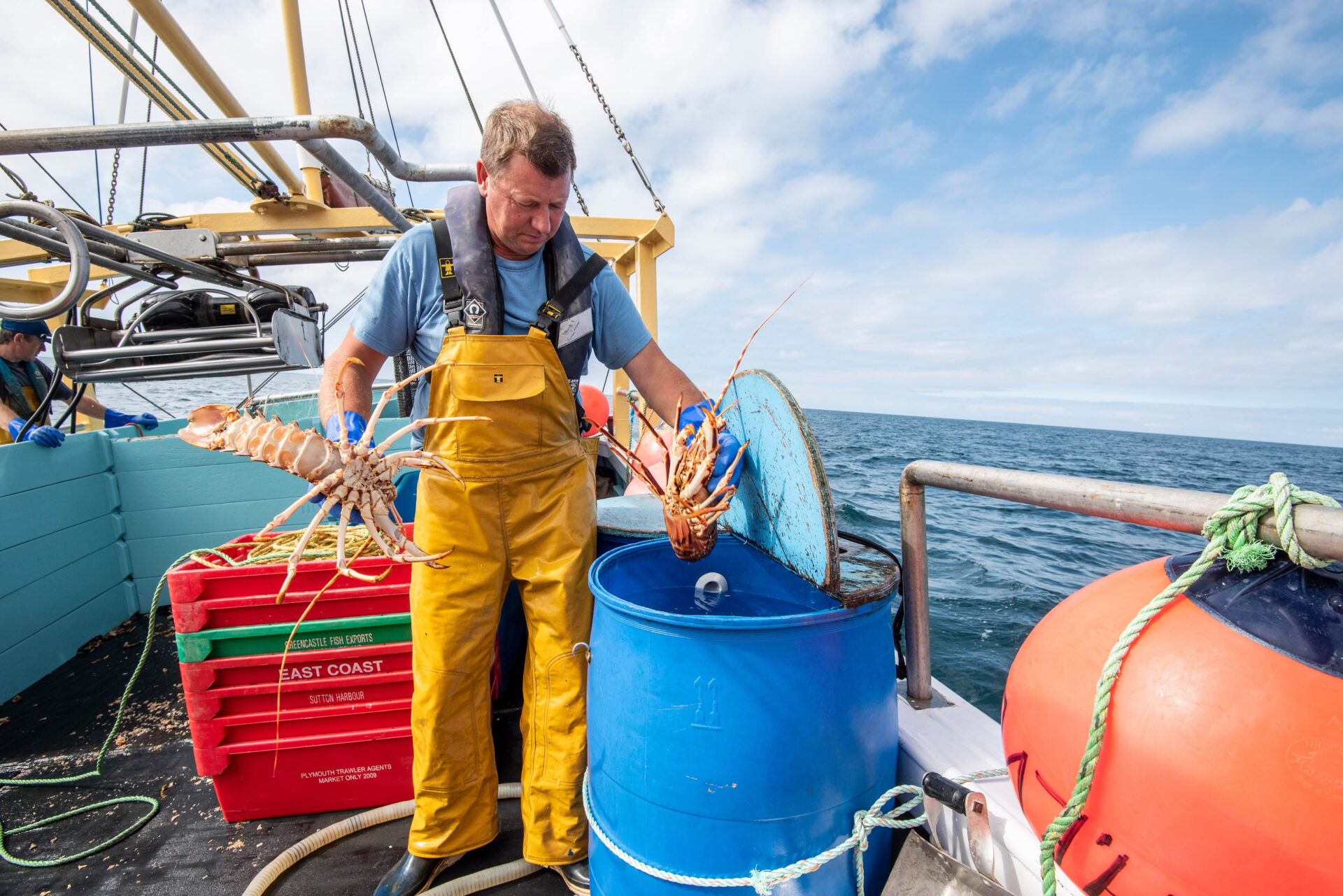 Success as Cornish fishermen lead policy change to protect valuable ...