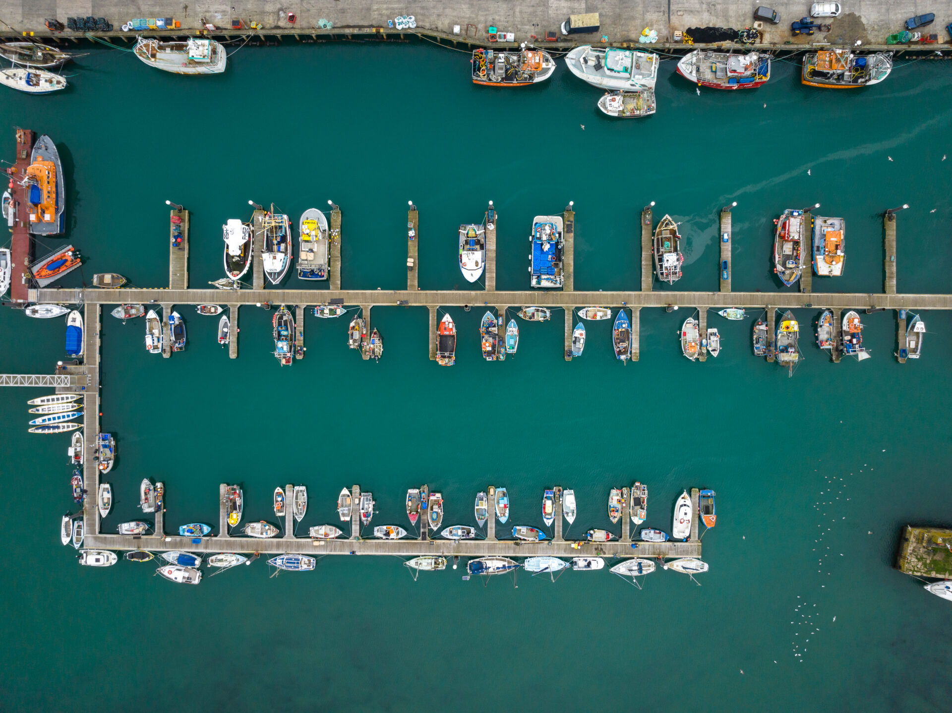 Joint Fisheries Statement (Consultation) Digest - Cornish Fish ...