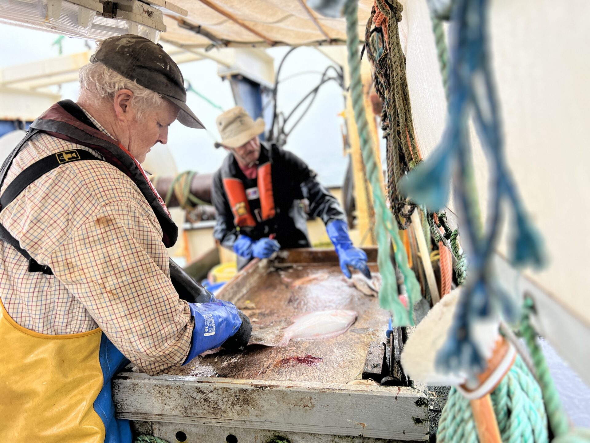 Quota - Cornish Fish Producers’ Organisation