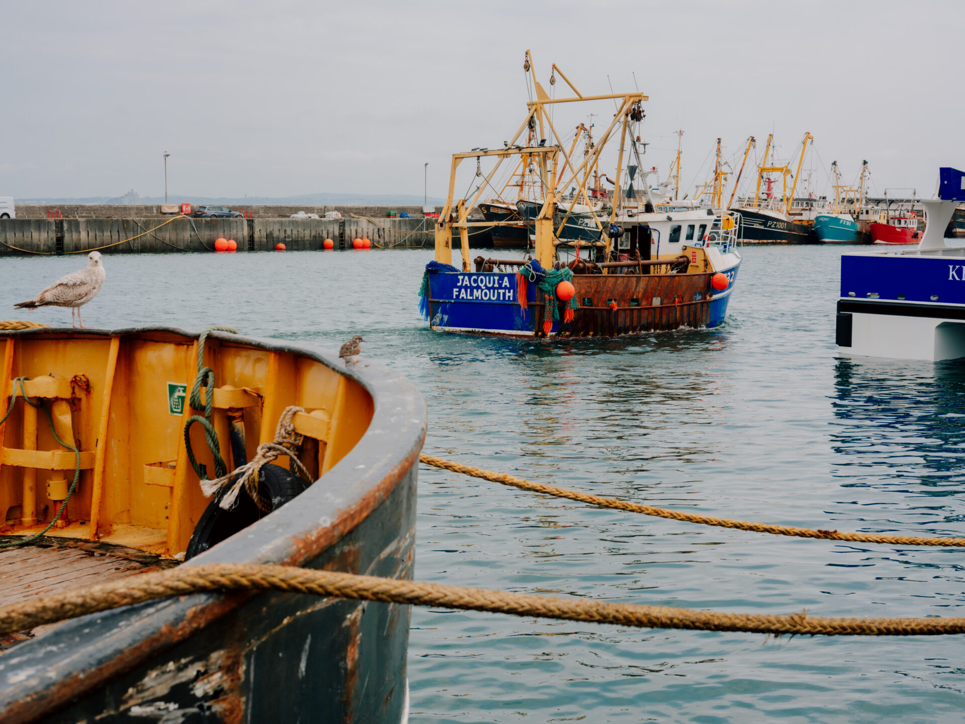 Homepage - Cornish Fish Producers’ Organisation