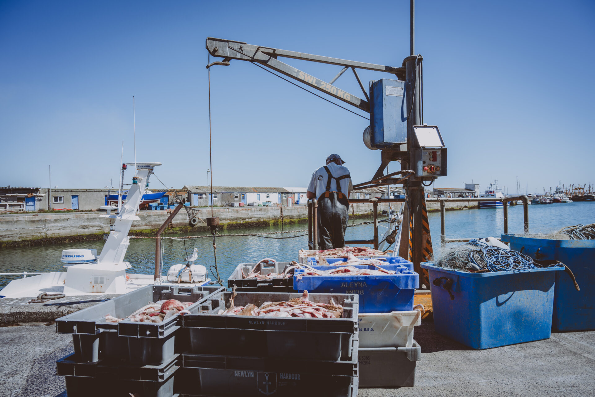 Developing Cornwall’s Fisheries – Pilot EngagementPost Event Report ...